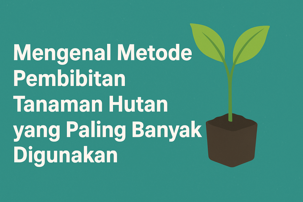 Mengenal Metode Pembibitan Tanaman Hutan yang Paling Banyak Digunakan ...
